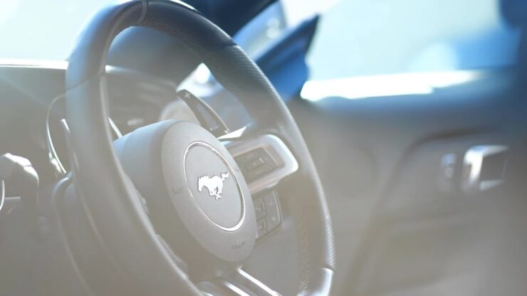 9 Reasons Why You Should Invest in a Mustang » IWFL Sports